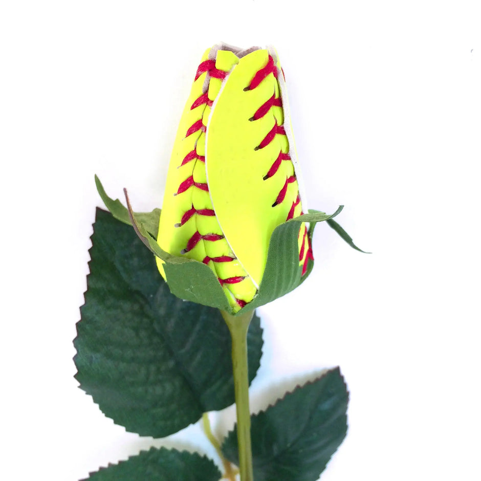 Softball Rose – Sports Roses