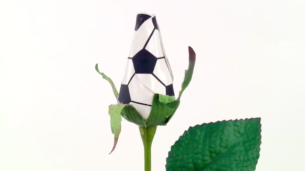 Soccer Rose Long Stem - Soccer Themed Gifts – Sports Roses